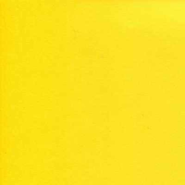 11x17 60# Solar Yellow Neenah AstroBrights Text