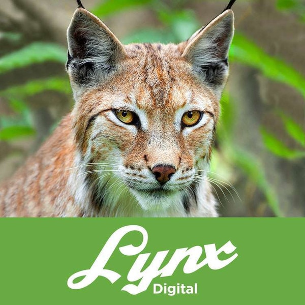 18X12 120# White 96 Bright Lynx Opaque Digital Smooth Cover